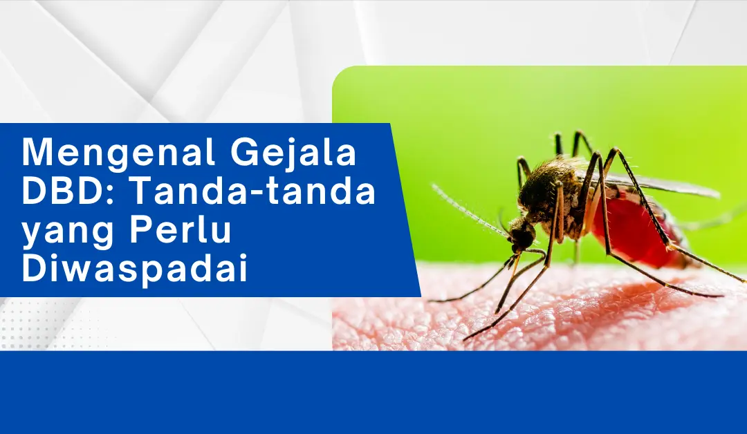 Mengenal Gejala DBD: Tanda-tanda yang Perlu Diwaspadai